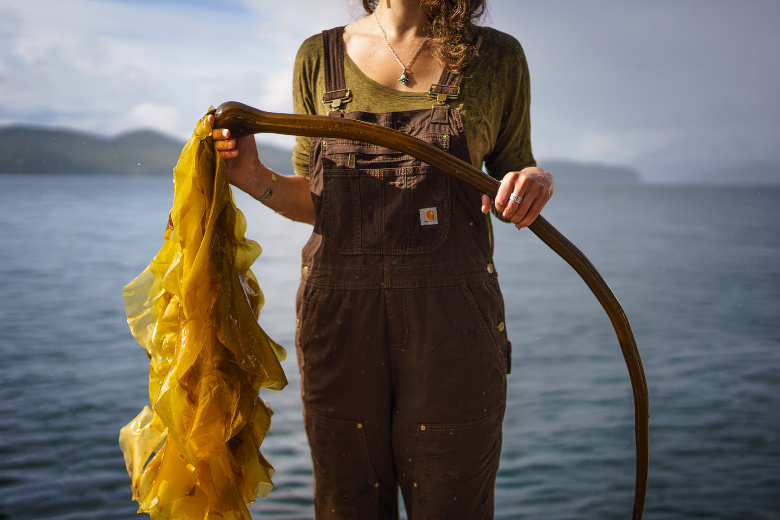 Algae Cooking Club – Barnacle Foods